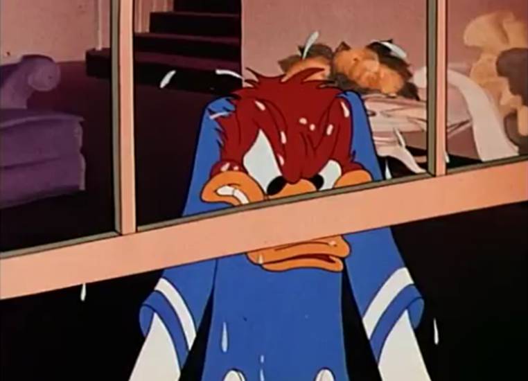 Daisy Duck Angry At Donald