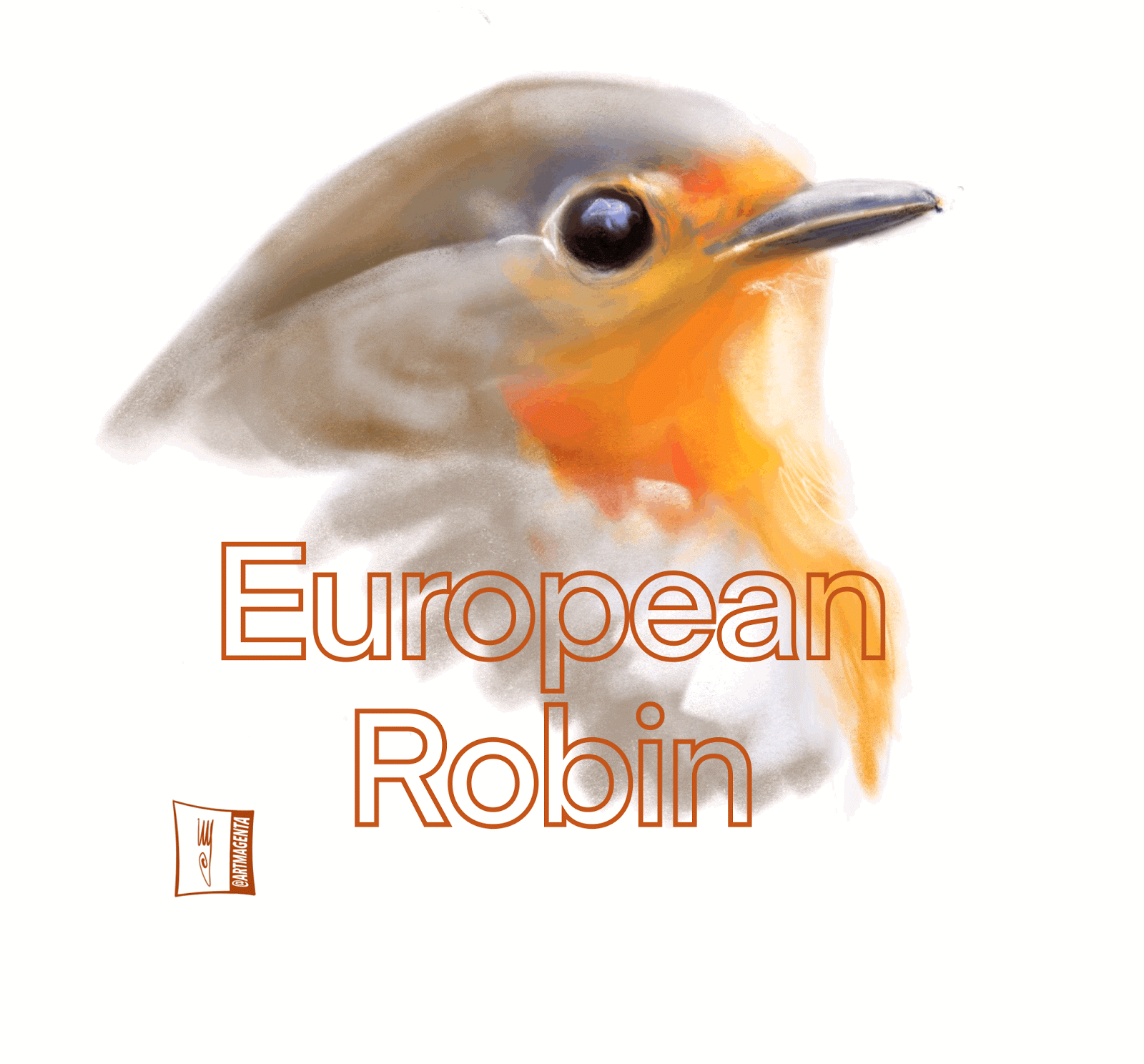 Birds: European Robin [gif]