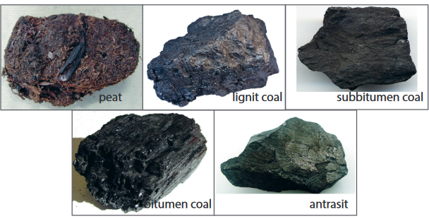 Teori Terbentuknya Batu Bara dan Pemanfaatannya - TKJ