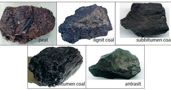 Teori Terbentuknya Batu Bara dan Pemanfaatannya - Sipulasia.com