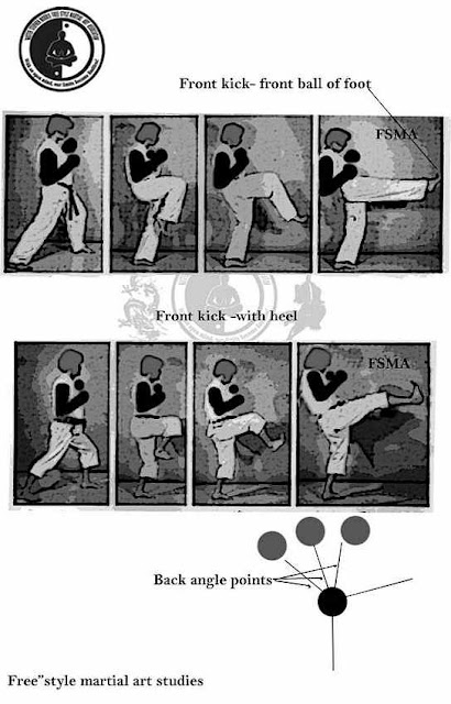 free" style martial art: Diffrent types of kicks