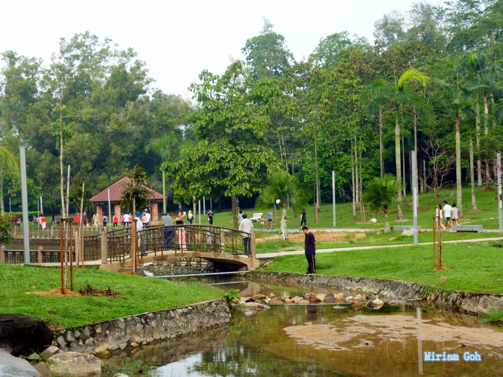 EVENT: Butterfly Walk @ TTDI Park | ♥Miriam MerryGoRound♥