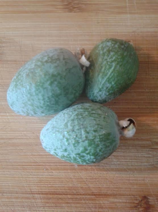 Kyphi, Kyphi, Kyphi, Incense, Kyphi, Kyphi, Incense, Kyphi