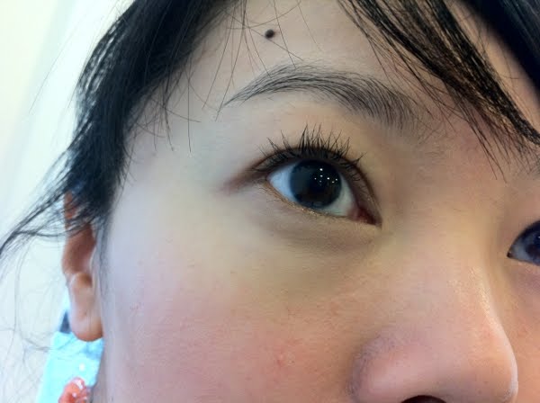 My LashDip Experience at Noir Lash Lounge - Solo Lisa