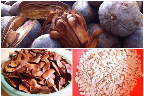 AJAIB! Inilah 8 Manfaat Biji Mahoni, No 6 Special bagi Anda yang Ingin ...