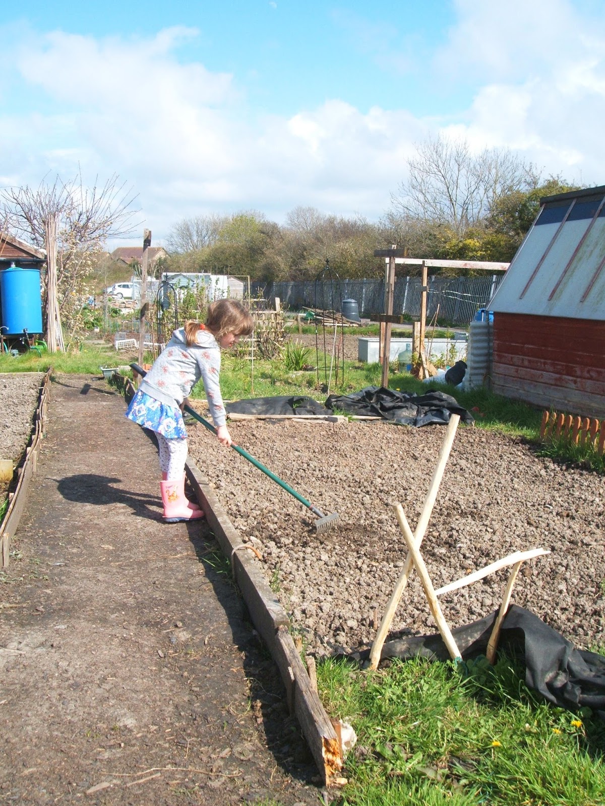 Me, You and Magoo: A year on the allotment: April 2016
