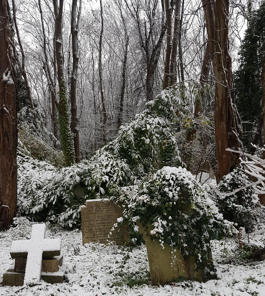 Cemetery Snow