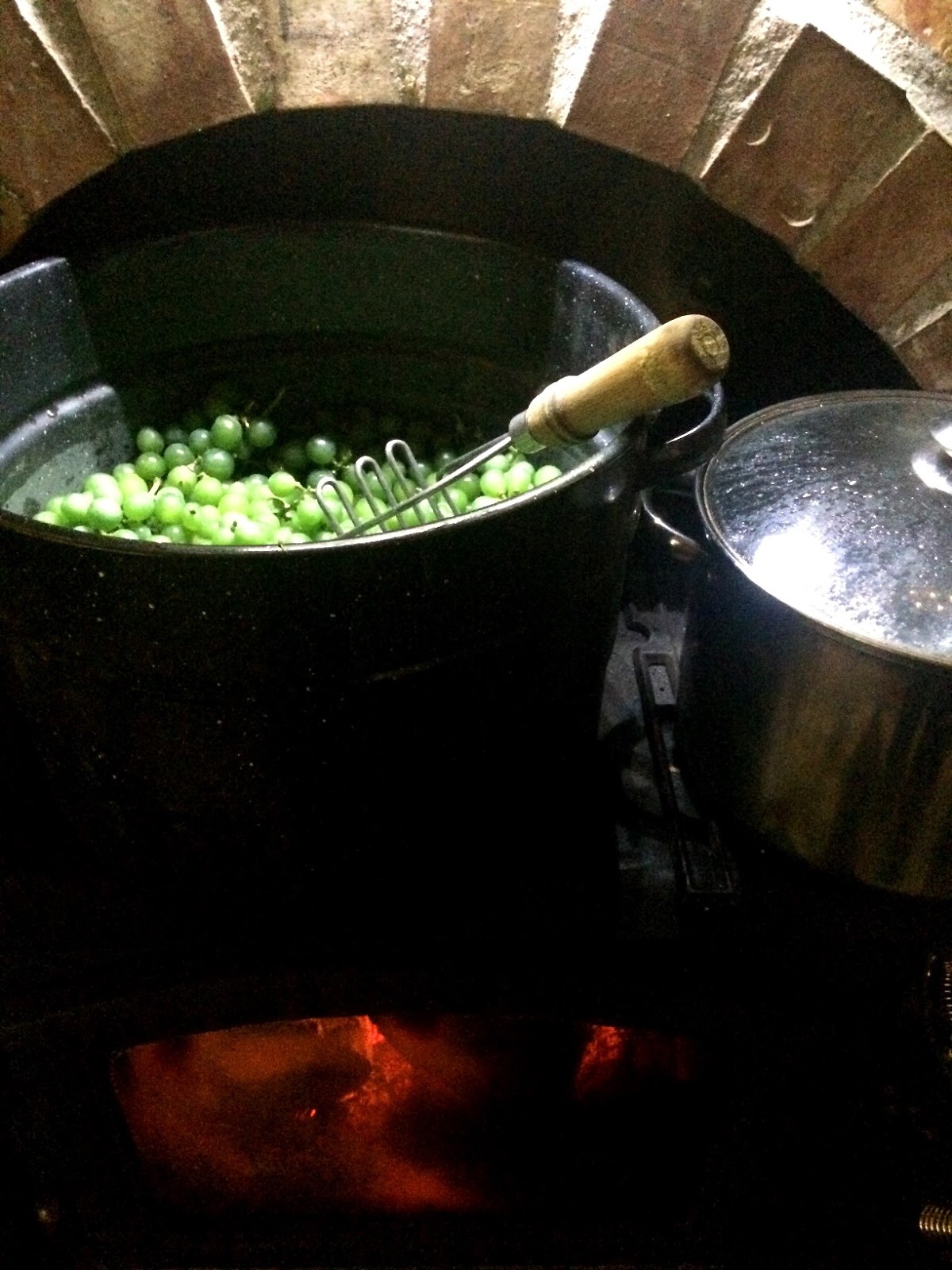 How to Make Grapejuice