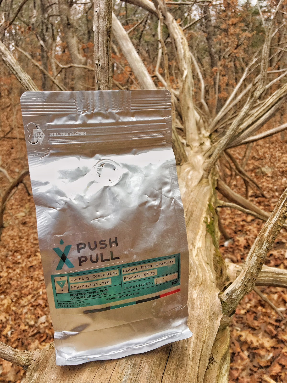 Push X Pull Costa Rica Finca La Pastora