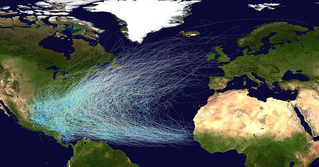 Biblioteci bihorene : Uraganul