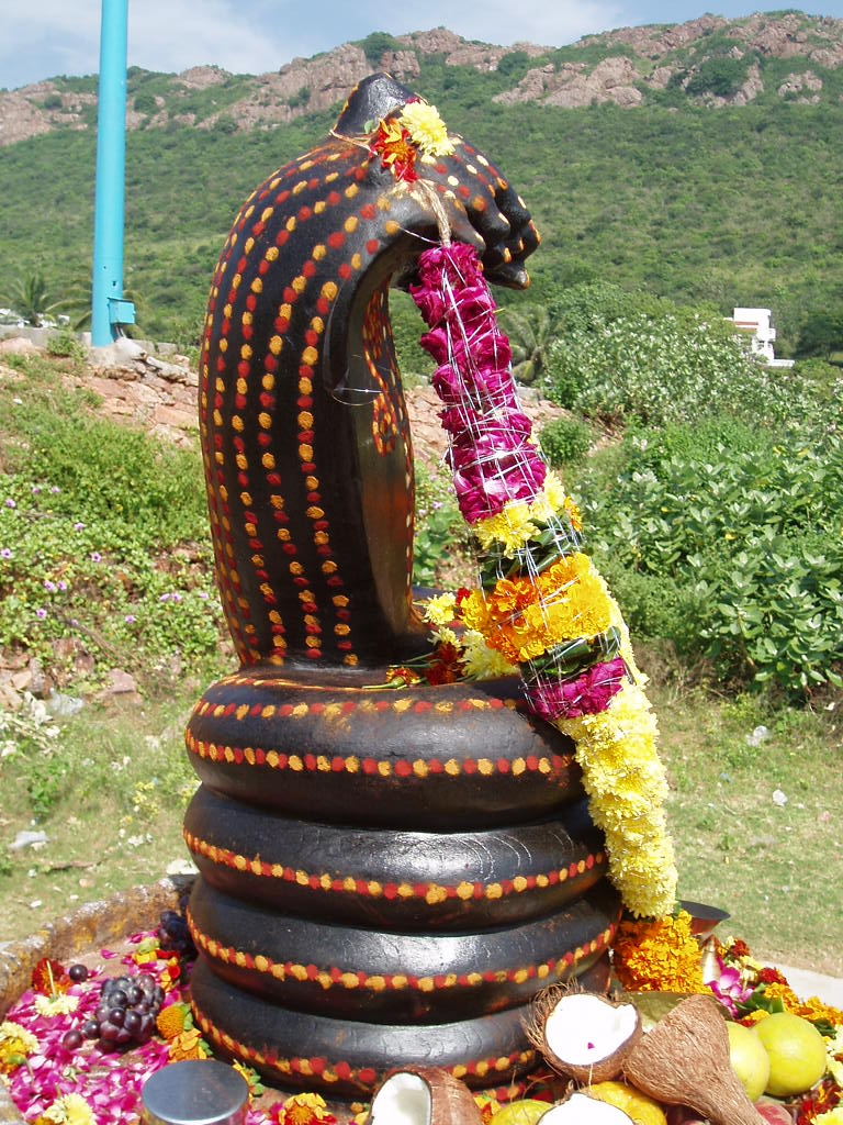 yogi prabhakarji: Sri Sri Sri Yogi Nagendra Swami Photo