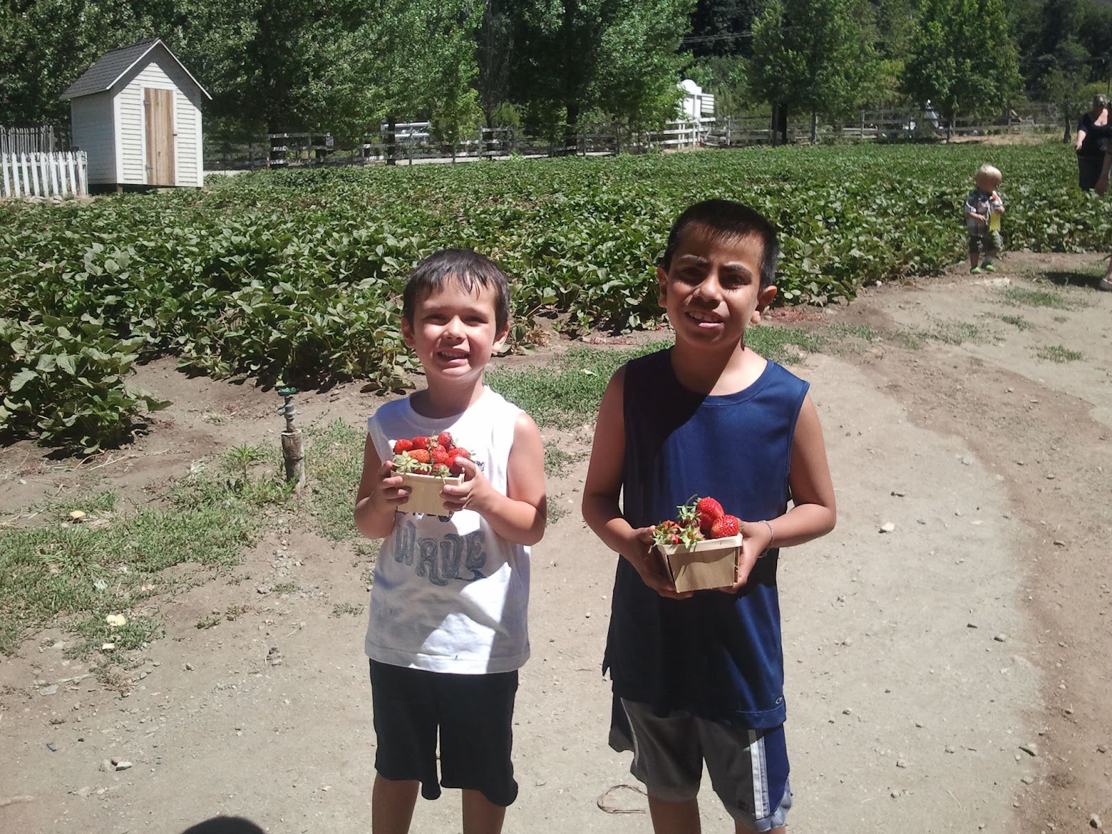 Kisses and Crumbs: Fieldtrip 101: Riley's Farm