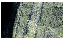 Geography Study Center: Berbagai Jenis Batuan dan Karakteristiknya