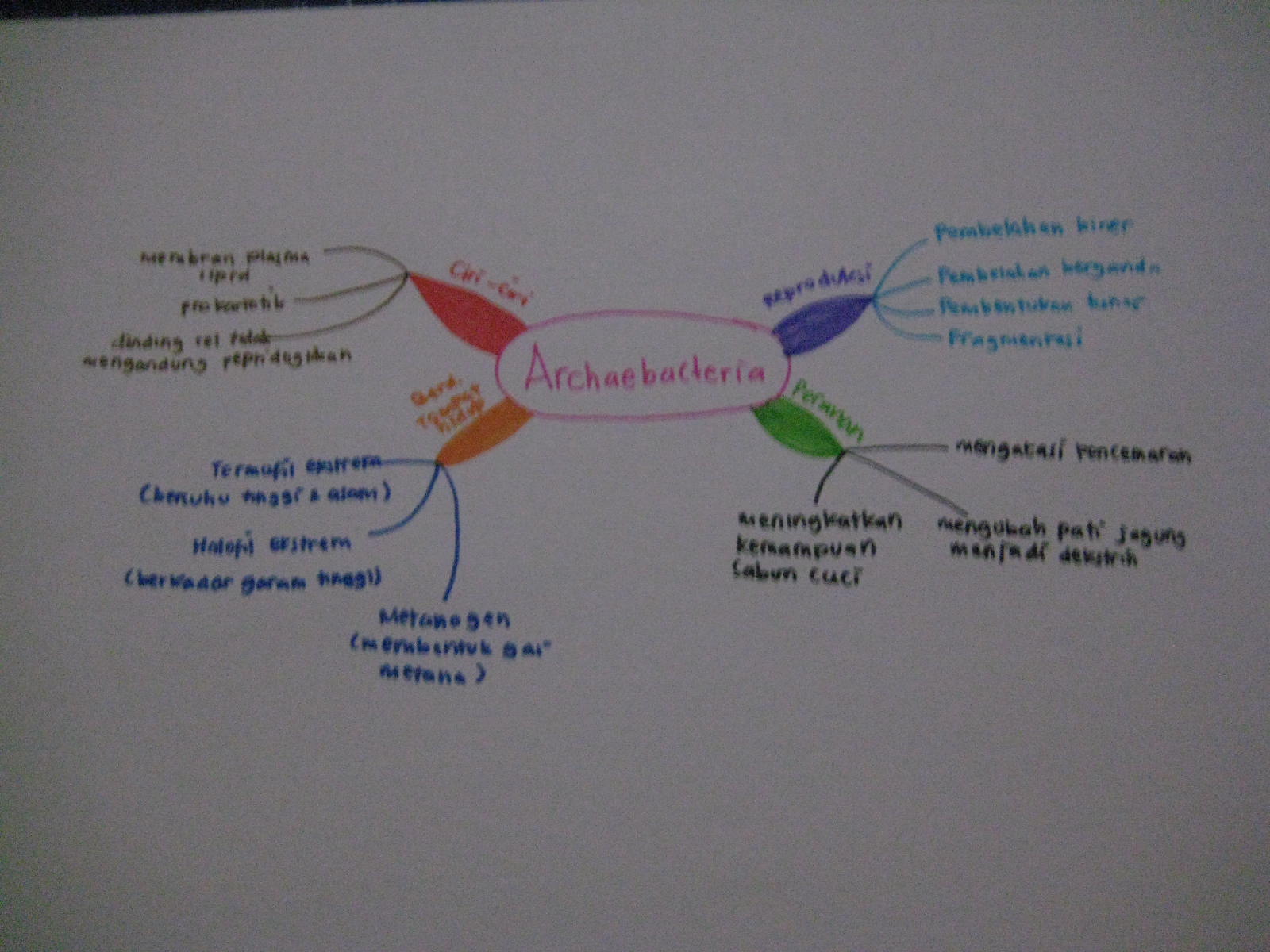 desinugraheni: MIND MAP BIOLOGI (ARCHAEBACTERIA)