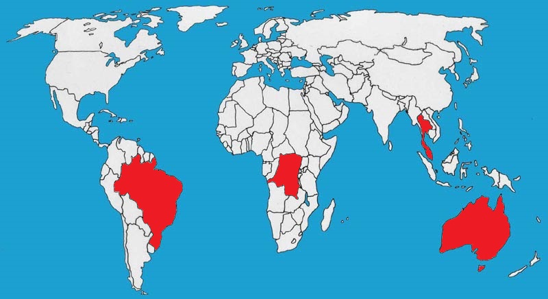 Gamn, la nostra ciència: COLTAN, MOBILITZA'T PER LA SELVA