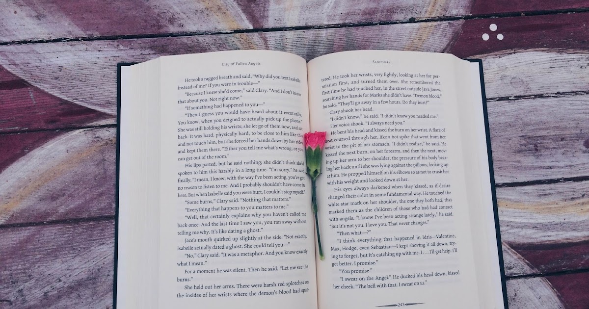 What I Read in June | elizabeth anne