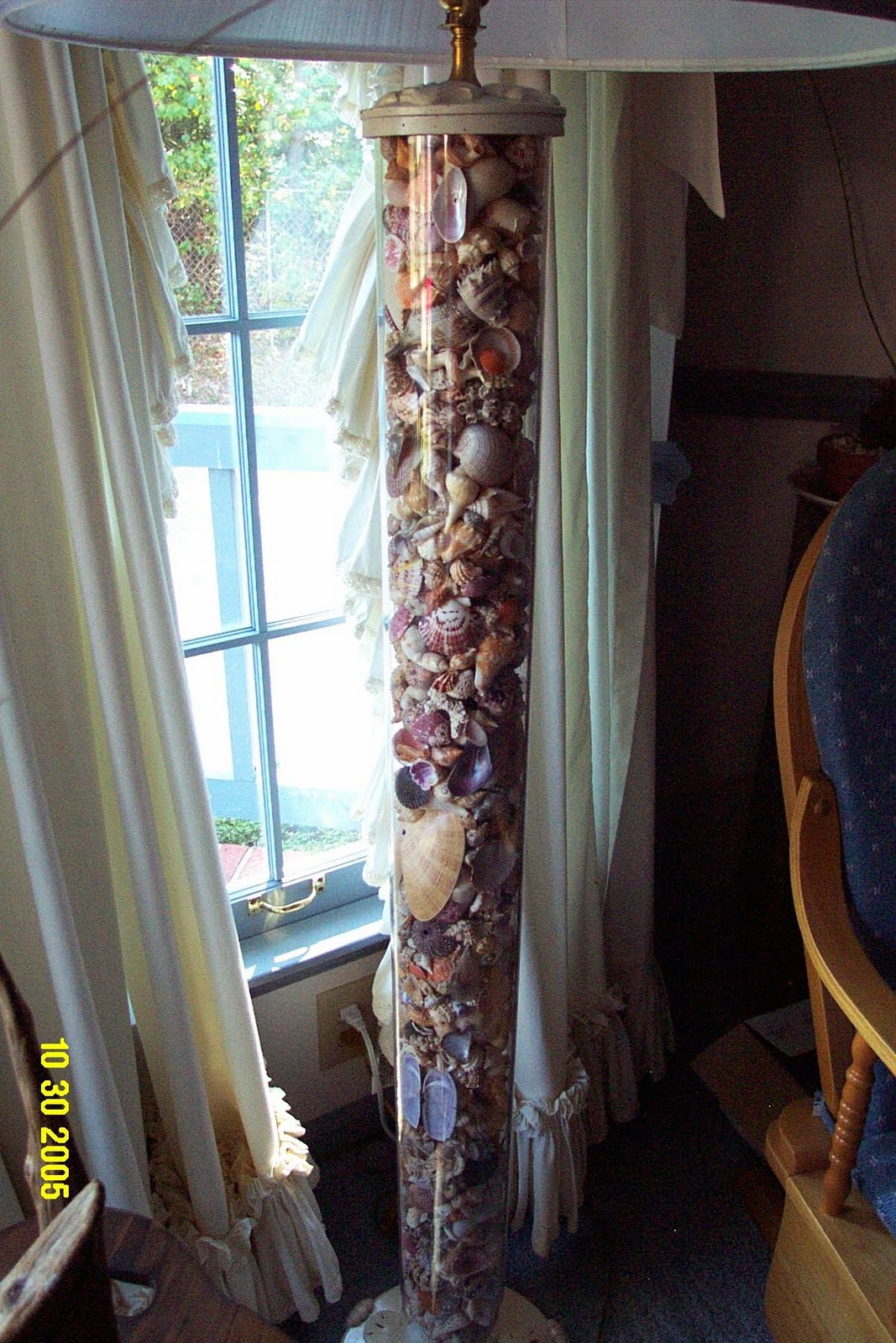 Shelllady: What to do with all these shells!?