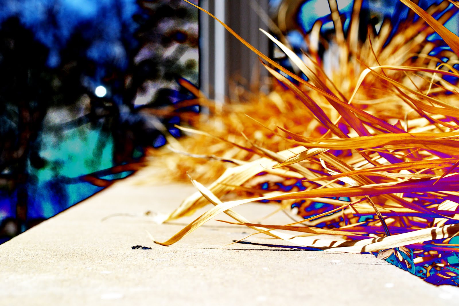 smd photography: solarization