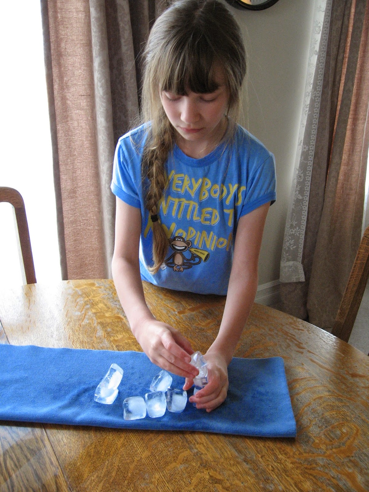 Almost Unschoolers: Ice Cube Roman Arch