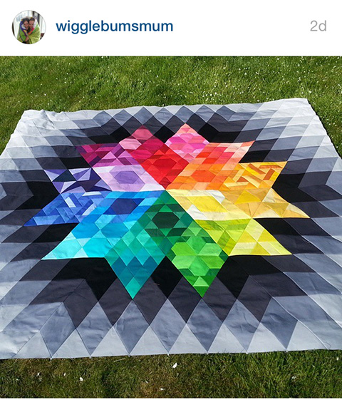 Jaybird Quilts: Your Photos: Gravity