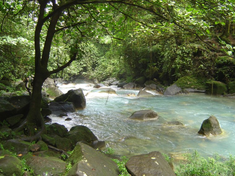 EL ALQUIMISTA, escribiendo para hacer catarsis: Ribera y Rivera