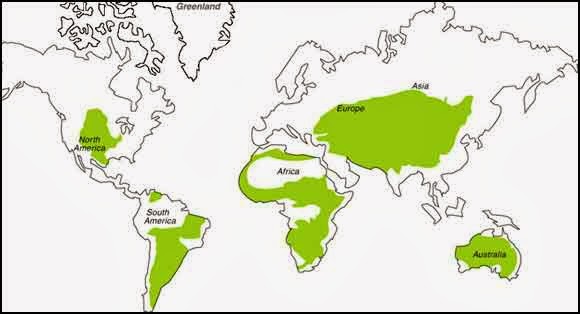 IMPORTANCIA DE REGIONES Y RECURSOS NATURALES : ESTEPA