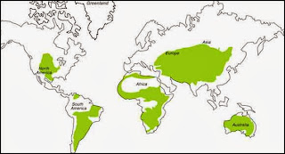 IMPORTANCIA DE REGIONES Y RECURSOS NATURALES : ESTEPA