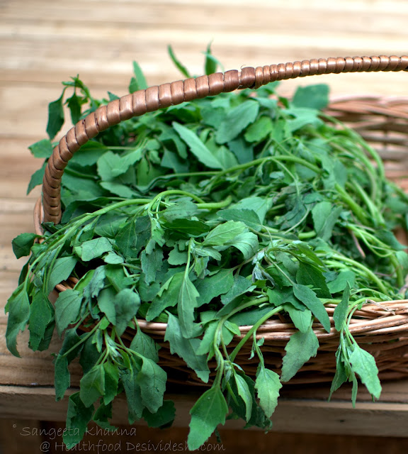 bathua ka saag / a green dip with chenopodium leaves