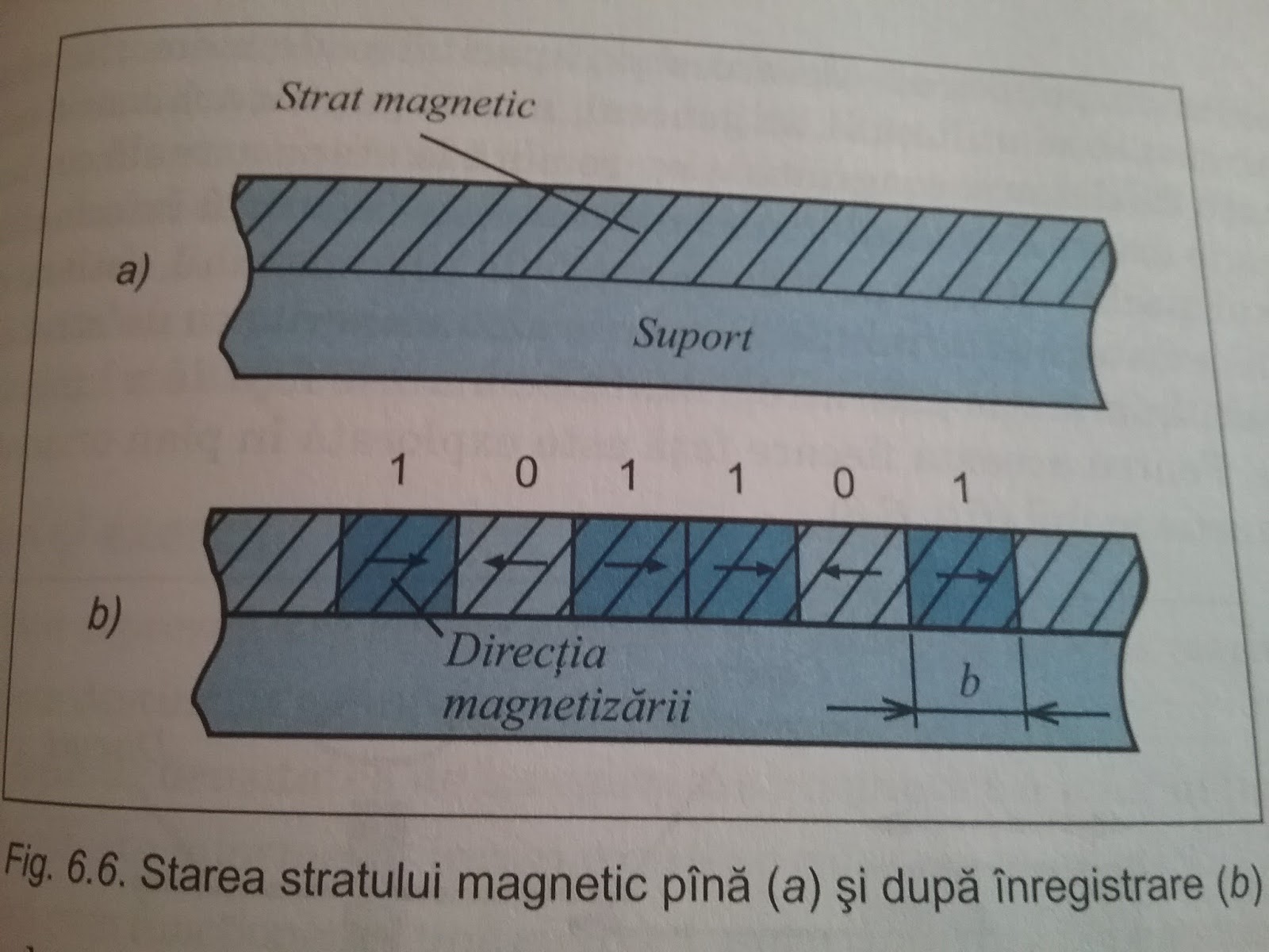 Informatica: Structura și funcționarea calculatorului