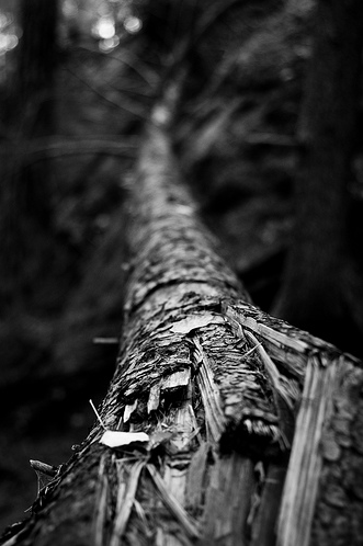 best photos 2 share: Amazing Photos from Robin Dahling