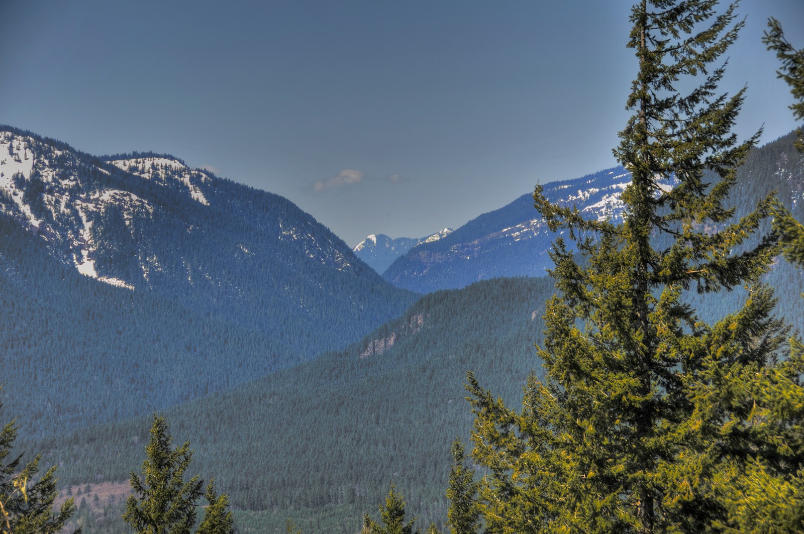 nature big nature small: towards packwood lake trail , packwood , wa