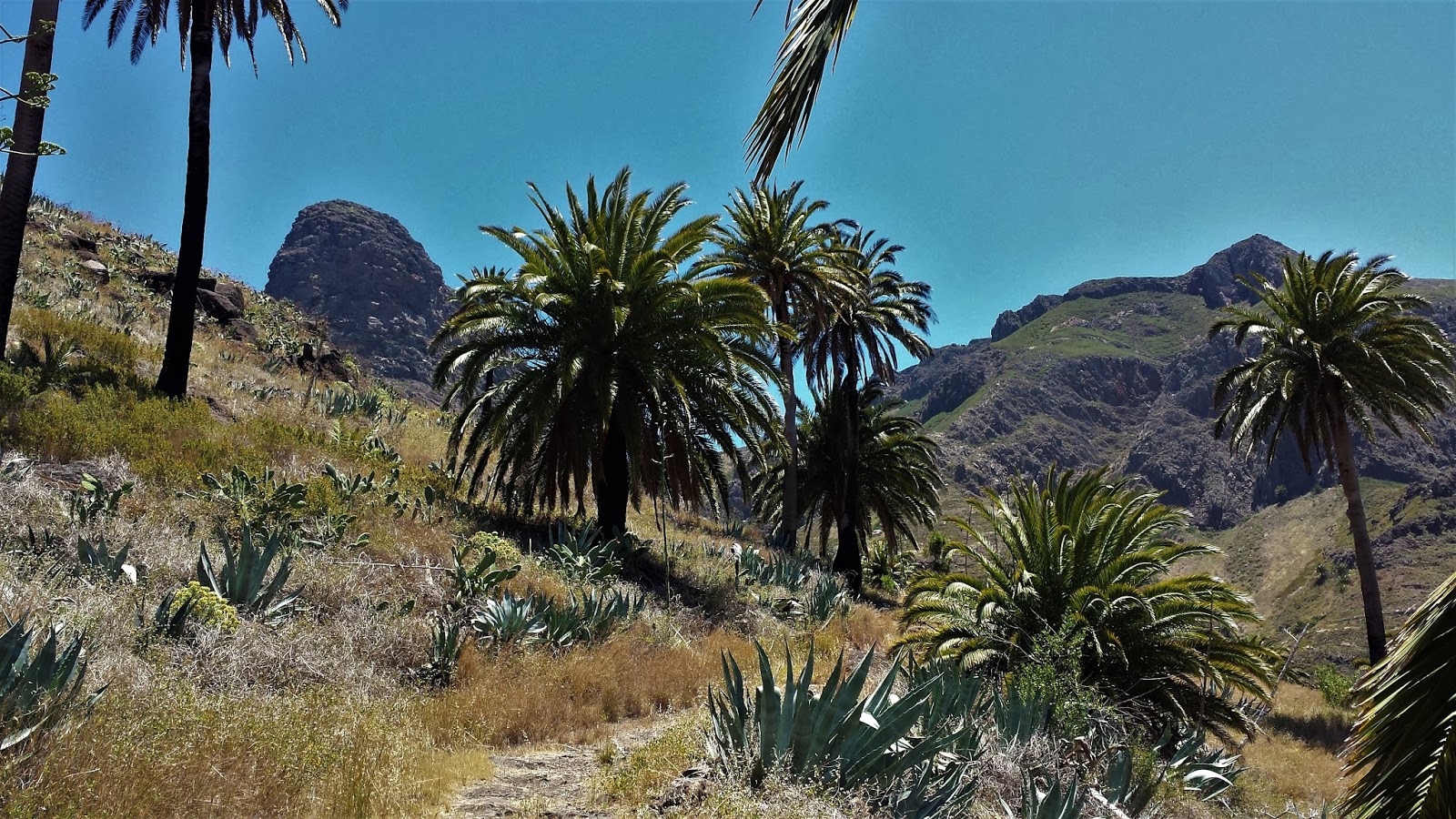 Reserva Natural Integral de Benchijigua