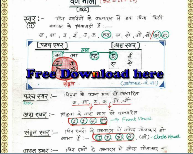 Hindi grammar full notes (Free Download)