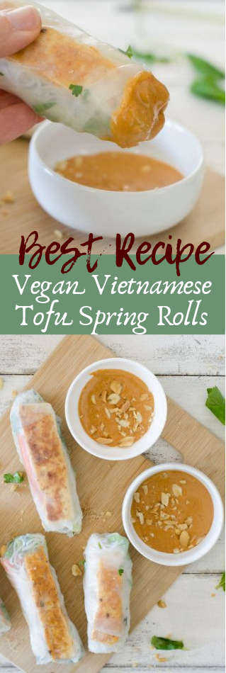 vegan vietnamese tofu spring rolls #vegan #recipevegetarian