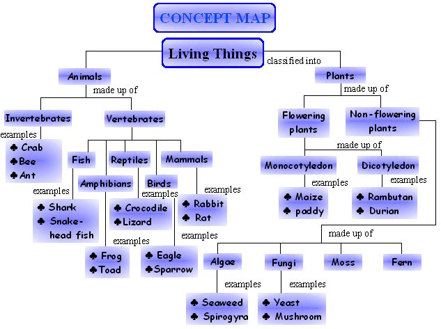 CIENCIAS "AMOR DE DIOS": BIOLOGY AND GEOLOGY
