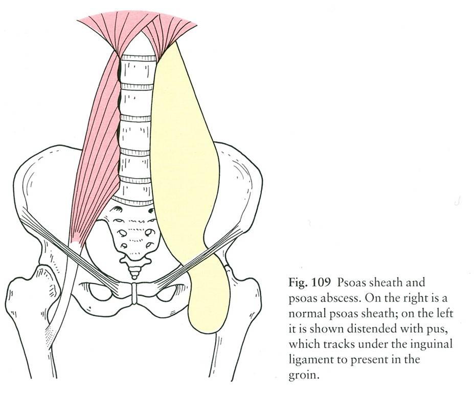 MY Health Venture: 2016