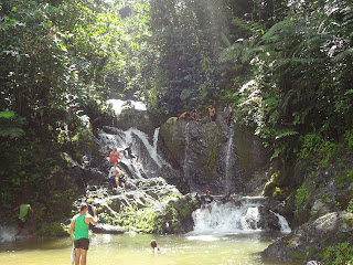 in the land of hibiscus: Lutu