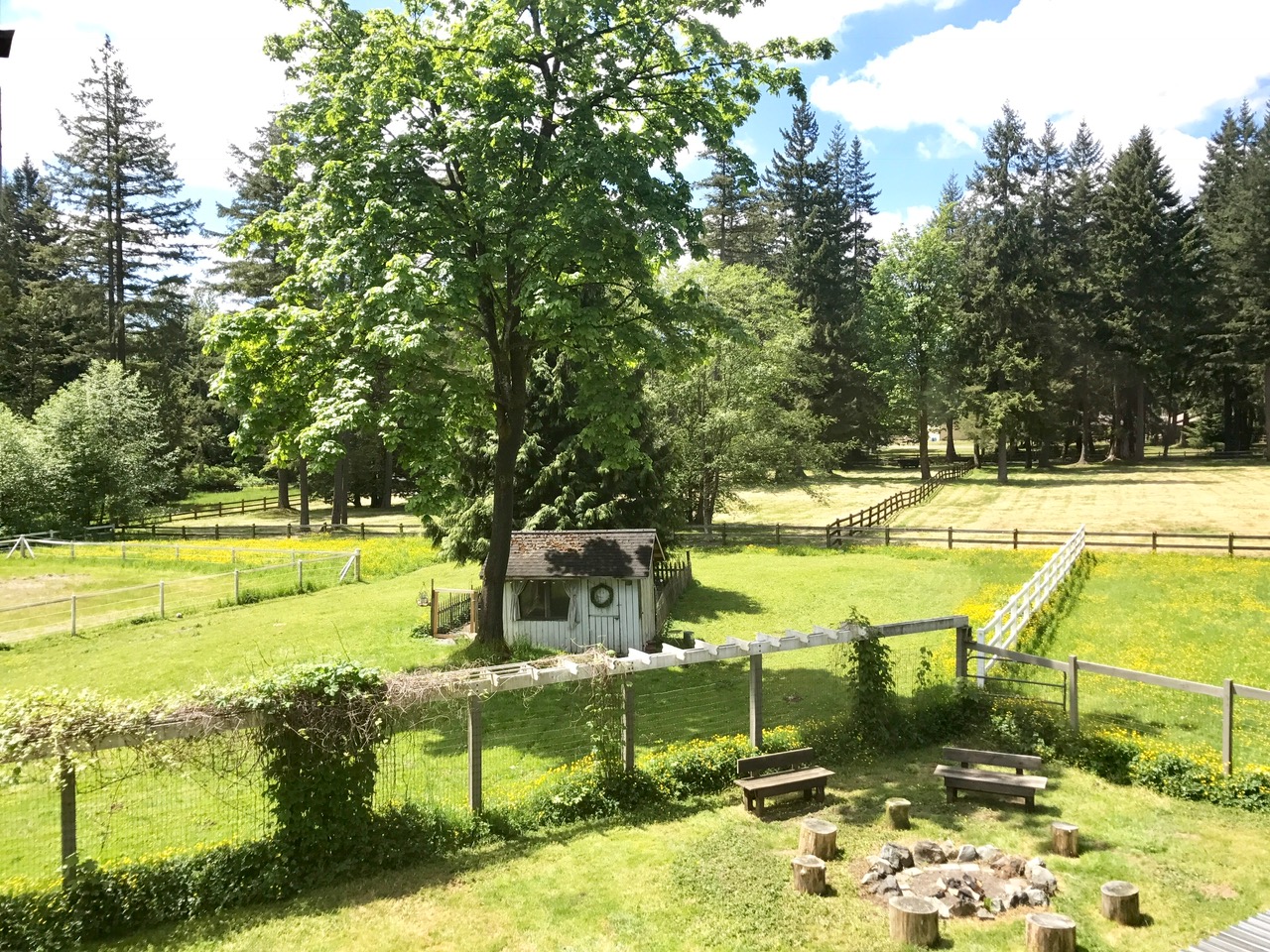 Little Farmstead: Farmhouse Living: Let's Head Outdoors