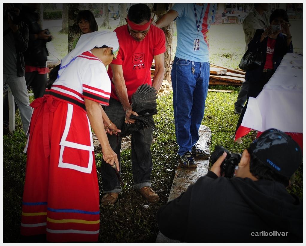 Bukidnon Photo Journal: Kaamulan Festival 2011: The Pamuhat Ritual