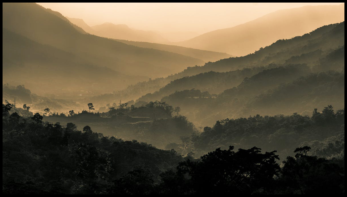 Jatinga,Assam,India | Travel life journeys