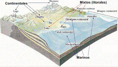 Caracterización de Ambientes Sedimentarios