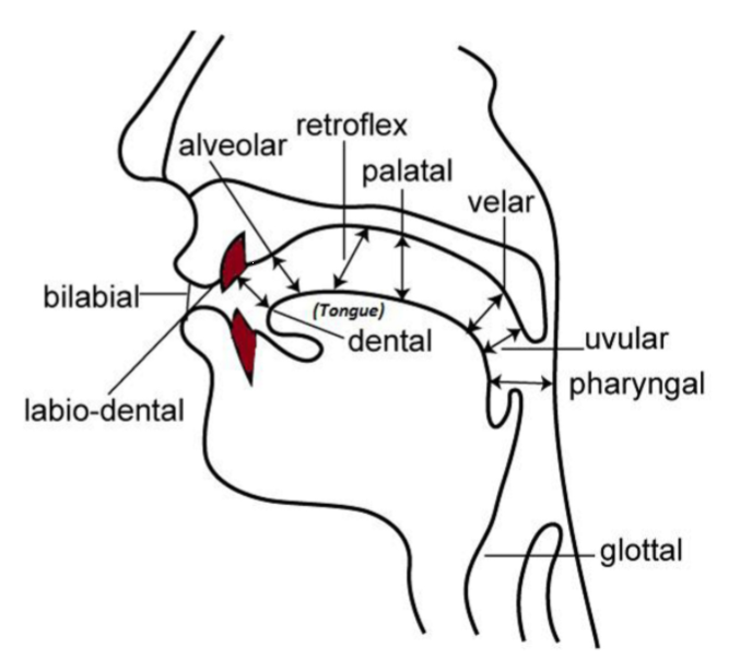 나이 들면 내 '얼굴'은 어떻게 변할까? ~ Healthy Happy