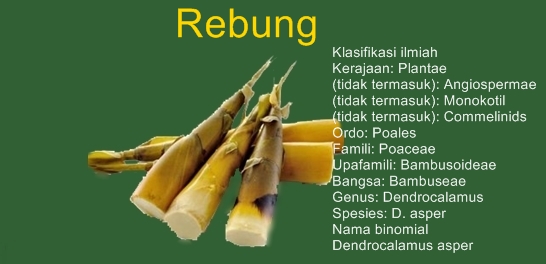 Kandungan Nutrisi Rebung Dan Manfaatnya Bagi Kesehatan