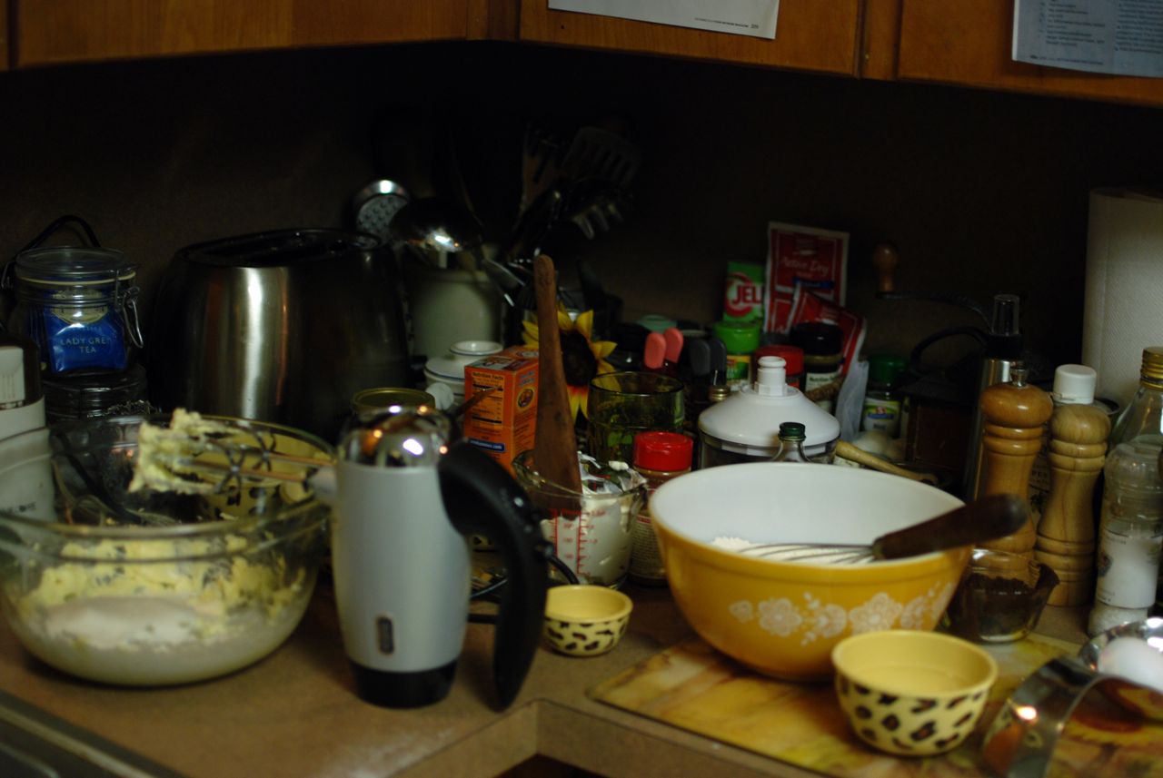 Typing Sunflowers: Kitchen Disasters