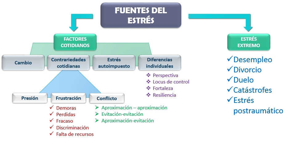 Esquemas, diagramas, gráficos y mapas conceptuales.: Esquema Fuentes ...