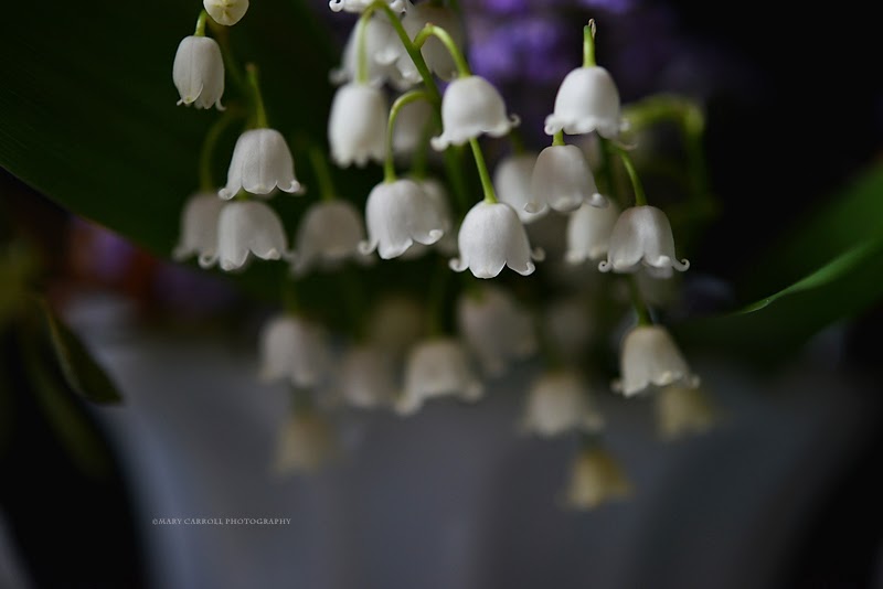 Little Red House: Mosaic Monday: Spring at Little Red House