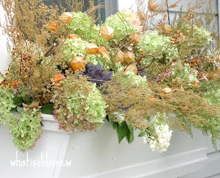 What's Old Is New: Hydrangea Window Box