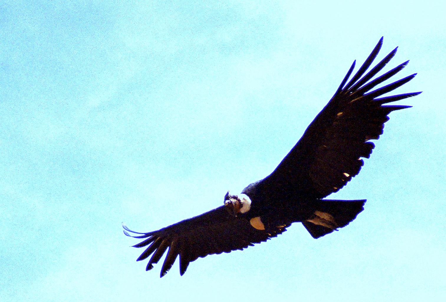 CHDP Cultura e Historia de Perú: Historia, Crónica y Leyenda Sobre El ...