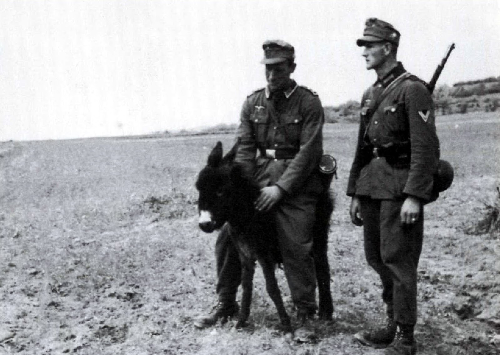 Men of Wehrmacht: Two Gebirgsjäger with a Young Mule during Training