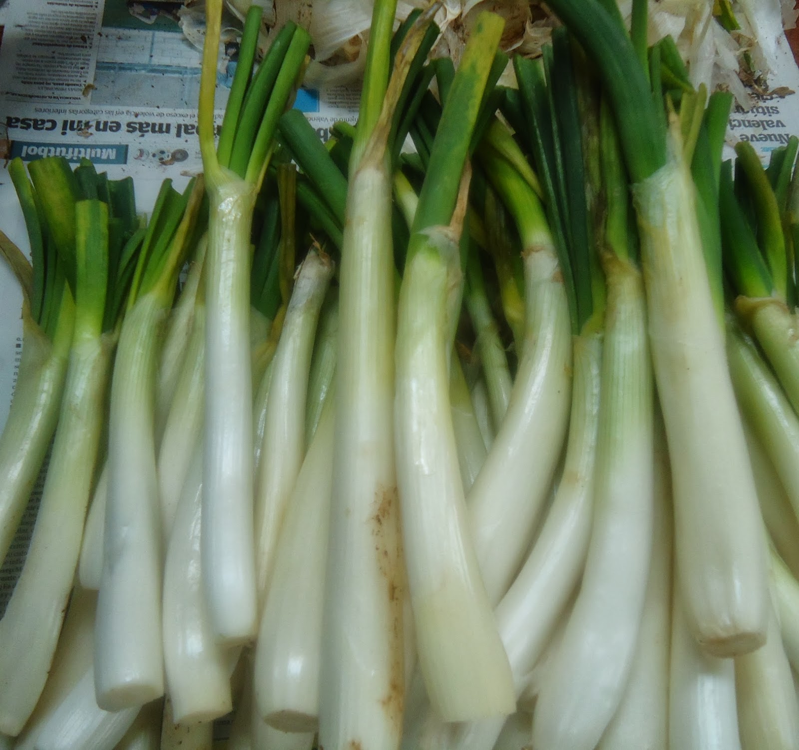 Norma Sian & Nuestros Sabores: CALÇOTS